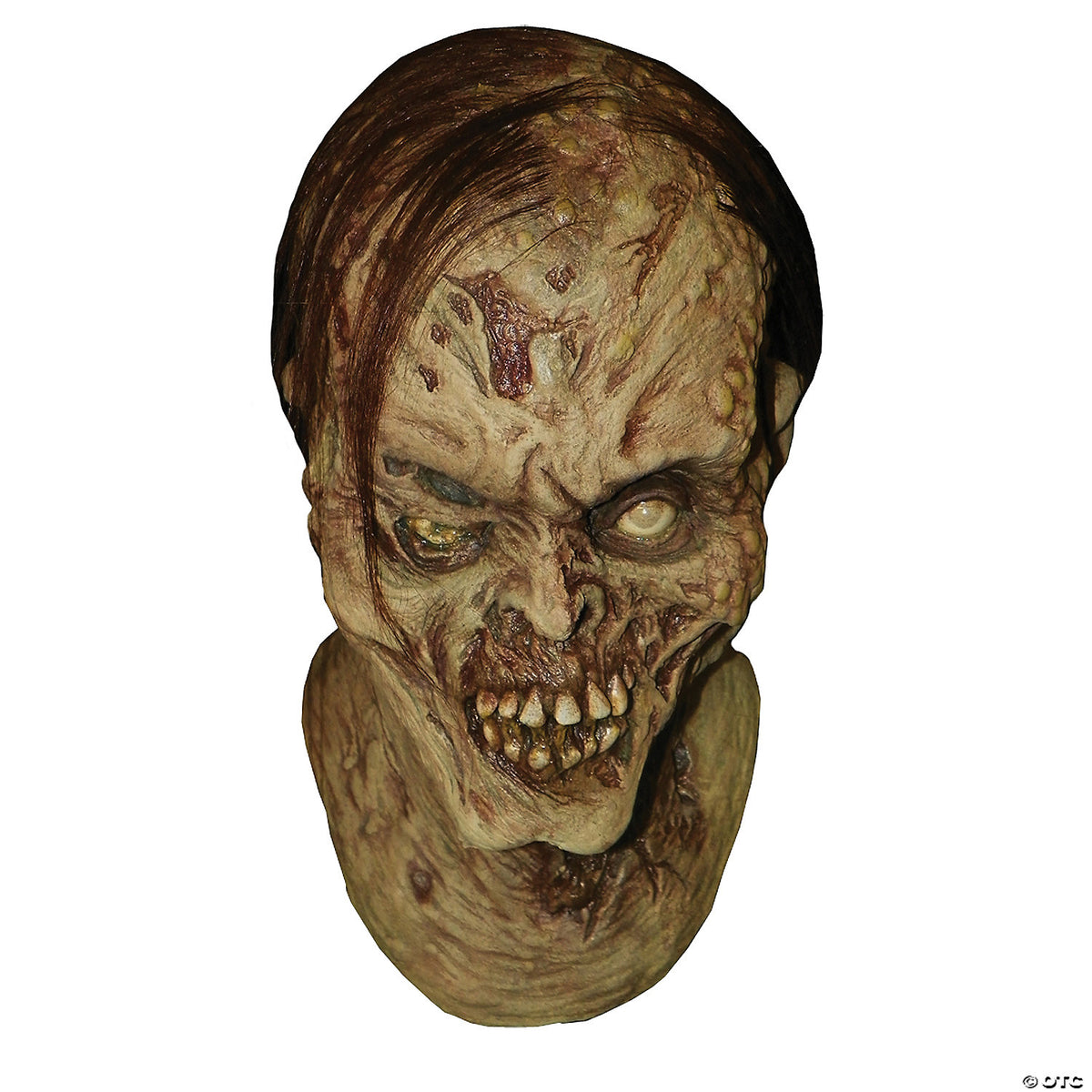 Adults Rotting Zombie Mask — Cosplay Supplies Inc