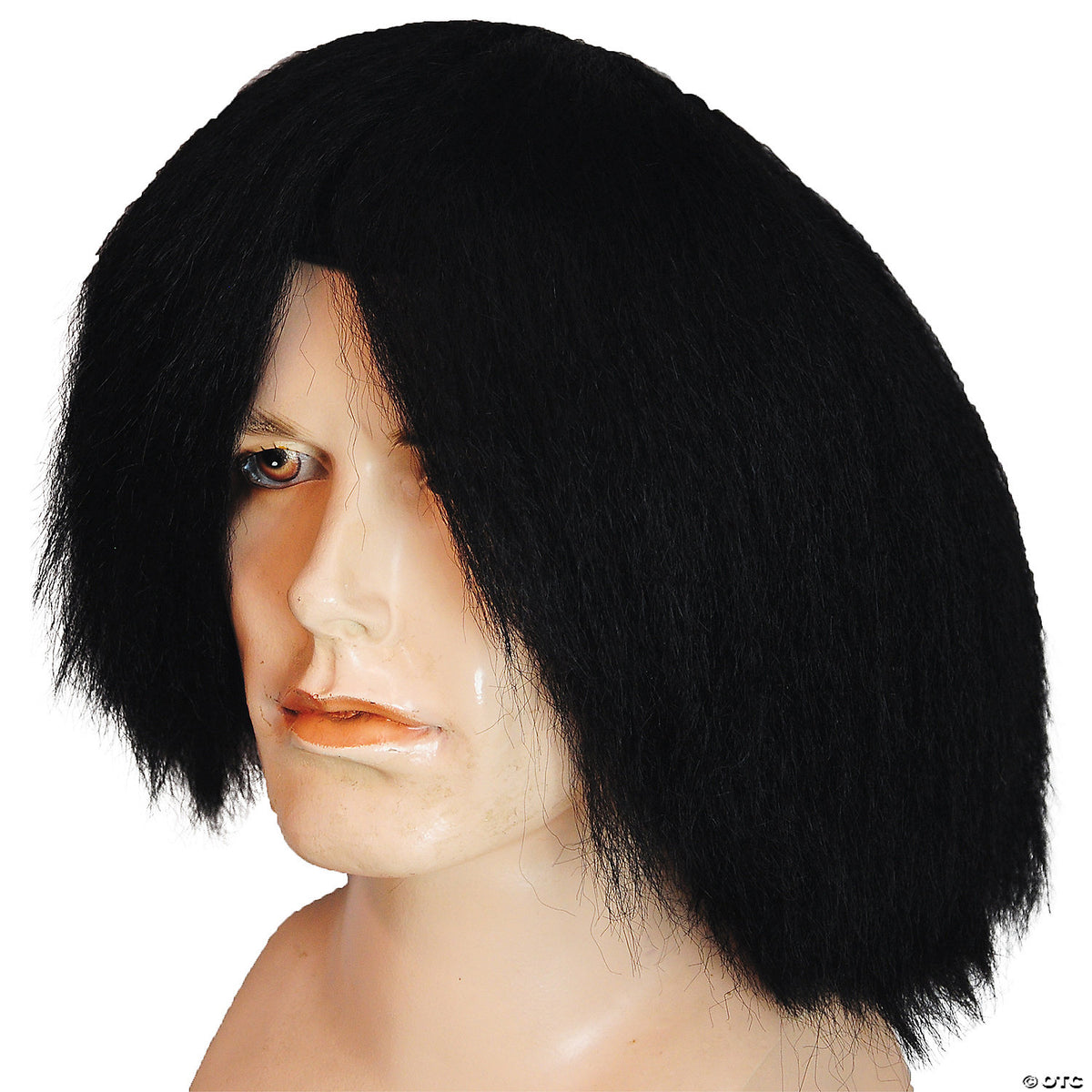 Deluxe Silly Boy Wig — Cosplay Supplies Inc